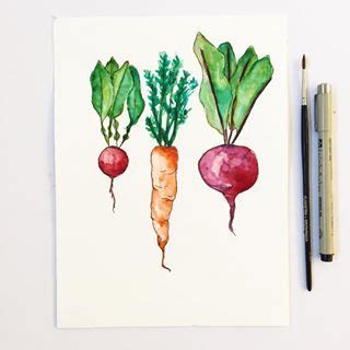 Turnip Vs Beet Vs Radish Taka Vegetable Turnip Vs Beet Vs Radish Taka Vegetable