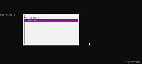 cmd查看历史操作命令 windows cmd查看命令行记录 csdn博客