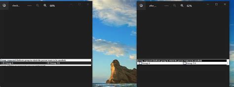 Checkbox When Converted From Docx To Pdf Using Swriter Libreoffice
