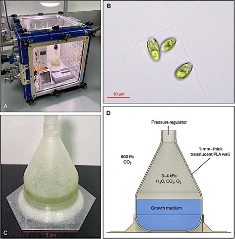Offworld Biotechnology Using Bioplastics For Extraterrestrial Habitats Astrobiology