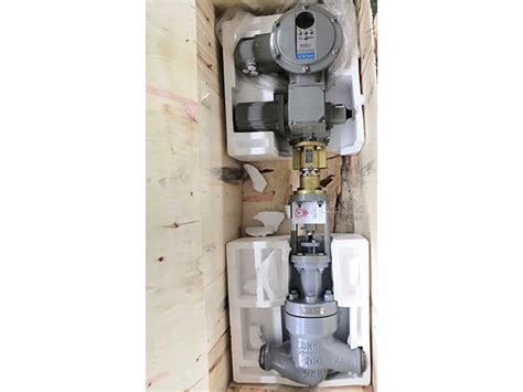 产品展示 1空气吹灰器 锅炉蒸汽吹灰器 锅炉清灰器 吹灰器厂家 青岛瑞莱德电力设备有限公司