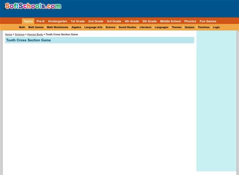 Soft Schools Tooth Cross Section Game Interactive For 3rd 8th Grade