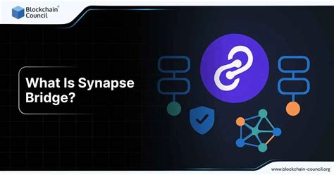 What Is Synapse Bridge Blockchain Council
