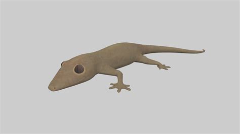 Jaszczurka Gecko Animal 3d Model Low Poly 3d Model Model 3d 10 Stl
