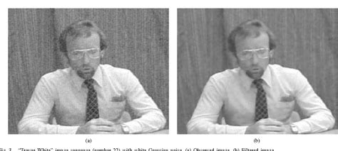 Figure 3 From A Motion Compensated Spatio Temporal Filter For Image Sequences With Signal