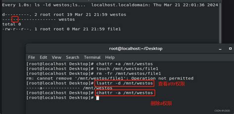 Linux系统中的权限管理 Linux查看权限 Csdn博客