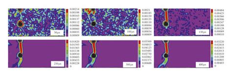 Strain Field Evolution Of Different Specimens A Strain Field