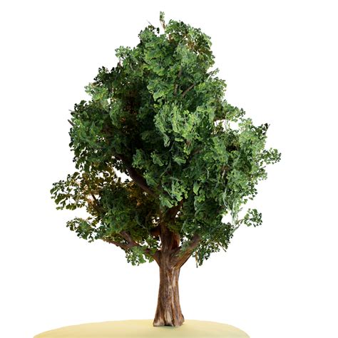 Lizya Du Plessis Ginkgo Tree