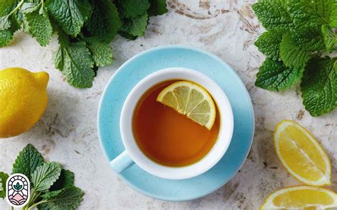 دمنوش لیمو و نعنا؛ ⭐️طرز تهیه دمنوش لیمو و نعناع