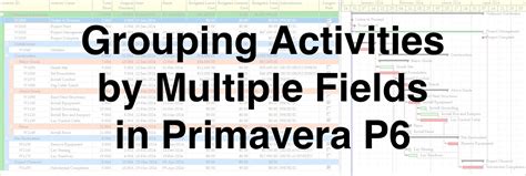 Grouping Activities By Multiple Fields In P6 Ten Six