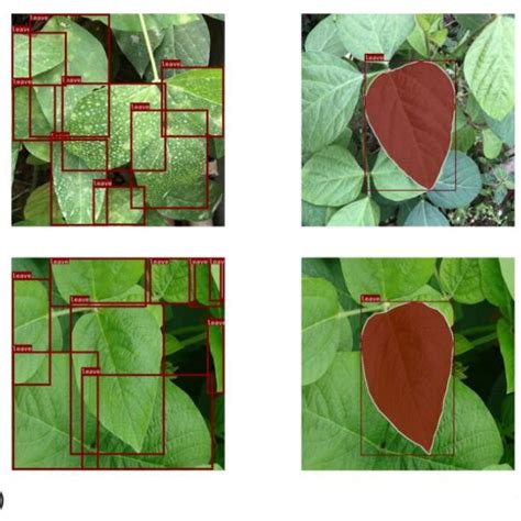 Image Annotation Samples A Detection Samples B Segmentation Samples Download Scientific