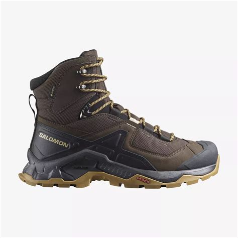 Кроссовки для мужчин Salomon X ULTRA ALPINE GTX