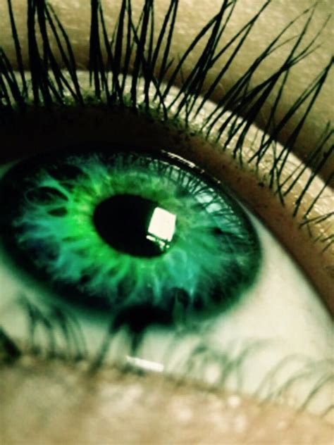 Sex With A Beast Sex With A Beast Series 1 Chapter 23 Wattpad