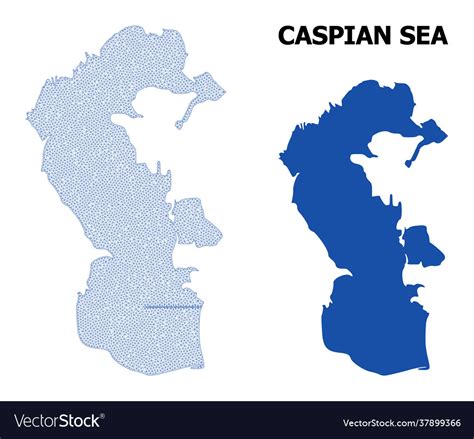 Polygonal Wire Frame Mesh High Detail Map Vector Image