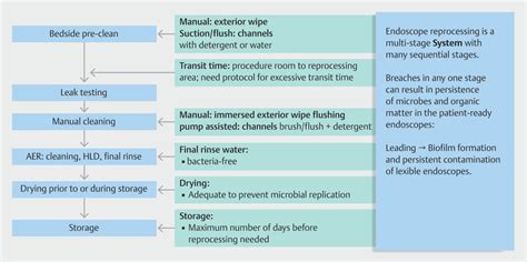 Flexible Endoscope Reprocessing A Multi Stage System Download Scientific Diagram