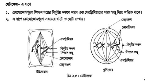 class 8 science assignment 2022 5th week answer pdf shaju tech bd job