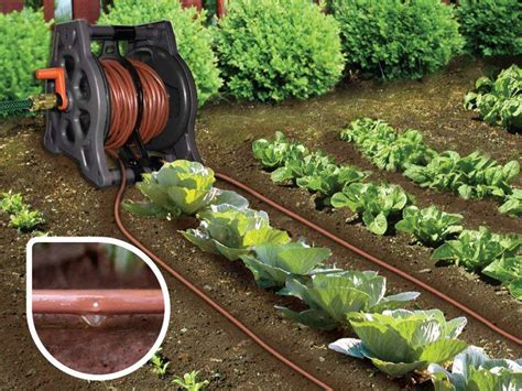 Vegetable Gardening For Beginners The Basics Of Planting Vegetable Garden Irrigation System