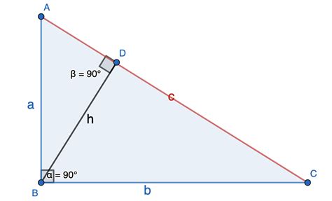Как найти площадь прямоугольного треугольника