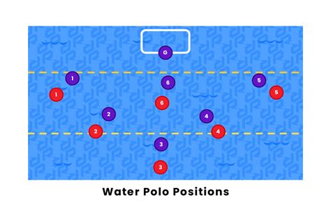 Water Polo Player Positions