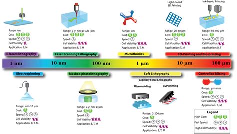 Several Common Techniques Are Used For Biochemical B Topographical Download Scientific