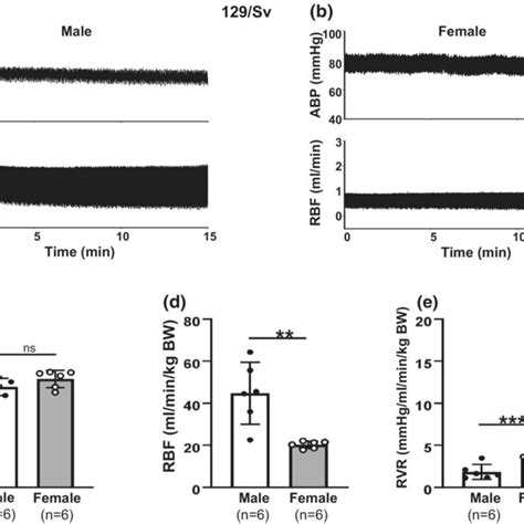 Sex Difference In Renal Hemodynamics In 129sv Mice A B