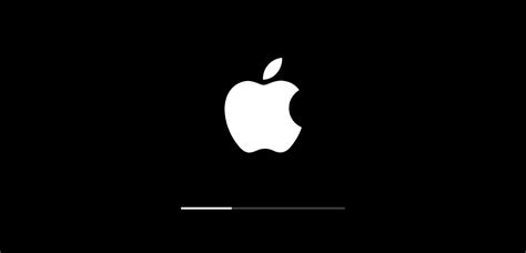 Apple Logo With Progress Bar After Updating Or Restoring IPhone IPad