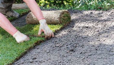 How To Lay Sod In 5 Easy Steps Yes Really The Lawn Mowing King