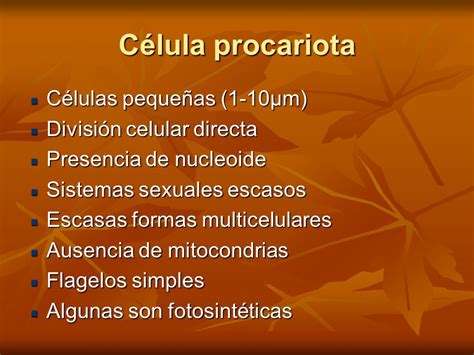 Estructura De La Celula Procariota Ppt