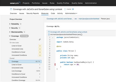 Getting Meaningful Coverage Results In Sonarqube When Using Jacoco And