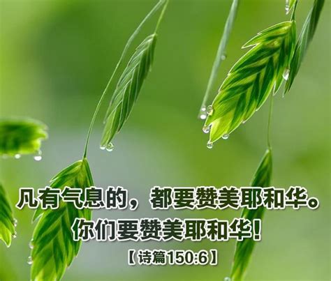 聖經 詩1503 要用角聲讚美他，鼓瑟、彈琴讚美他 每日頭條