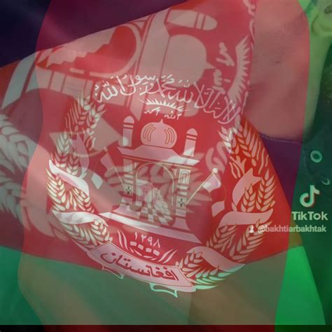 بختیار بختک ‎بختیار بختک‎ Updated His Profile Picture Facebook