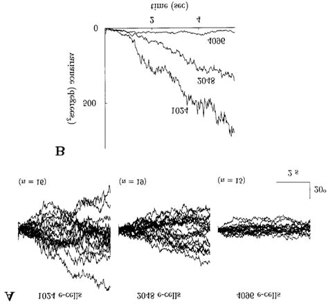 The Network Pattern Of Persistent Activity Drifts Randomly In Time Due Download Scientific