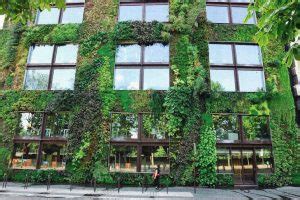 Evolution Of Architecture On Trees Alubuild