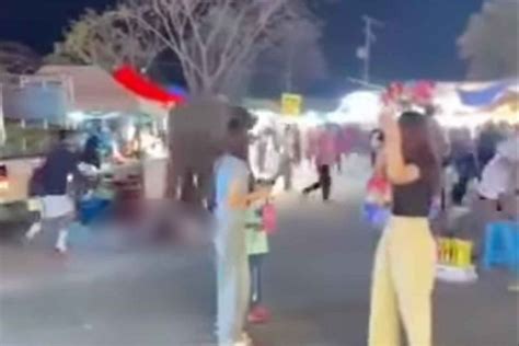 Gajah Terkejut Pijak Orang Di Pesta Kosmo Digital