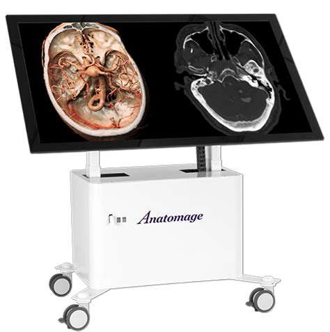Table Clinical Anatomage