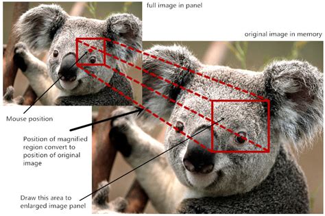 A Beautiful Magnifying Glass Effect Of Image In Winform Codeproject