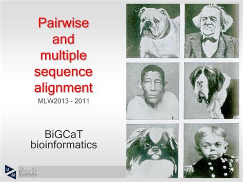 Ppt Pairwise And Multiple Sequence Alignment Powerpoint Presentation