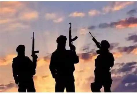 டி ஆர் எப் அமைப்பை பயங்கரவாத பட்டியலில் சேர்க்க இந்தியா தீவிரம்