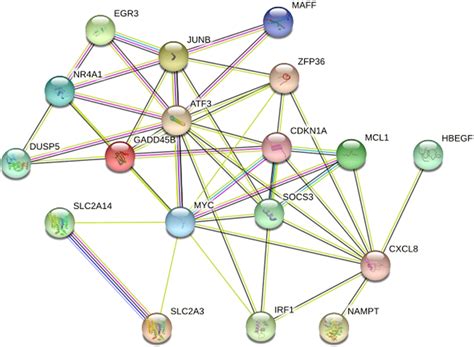 Protein Protein Interaction Network Diagram After Removed Disconnected