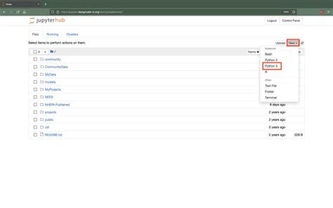 Jupyterhub Designsafe User Guide