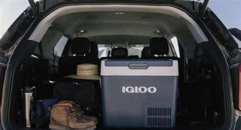 Amanda Goad On Linkedin Excited To Celebrate The Launch Of Igloo