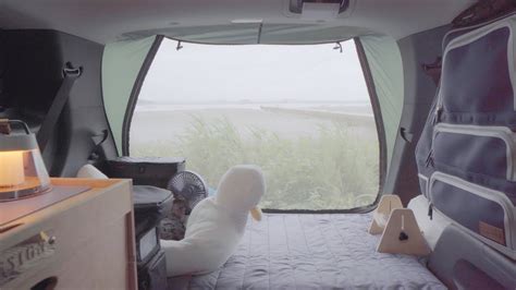 4k 조용한 바닷가 노지 우중차박 깨끗한 화장실 있어요 애견동반 차박 캠핑 팰리세이드 차박 Car Camping Youtube