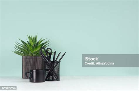신선한 홈 인테리어 교육을위한 작업장 검은 문구 커피 컵 우아한 녹색 민트 알로에 식물흰색 나무 테이블에 색상 벽을 Menthe 복사 공간 책상에 대한 스톡 사진 및 기타