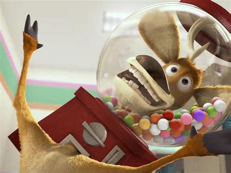 Open Season Boog Quotes Yarn The Names Boog Open Season 3