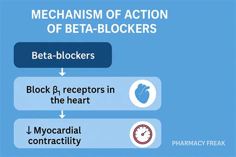 Mechanism Of Action Of Beta Blockers