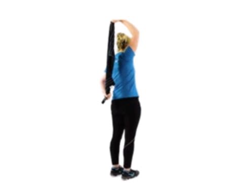 Nhs Back Stretching Exercises