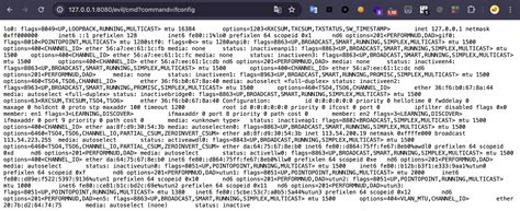 Spring Memoryshell Of Webflux