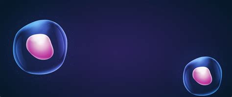 Матични клетки Matichni Kletki