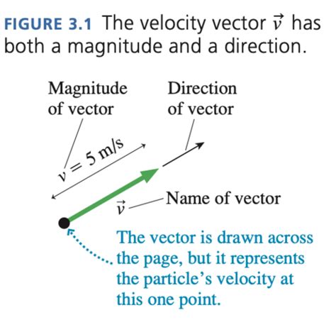 Chapter 3 Vectors And Coordinate Systems Flashcards Quizlet