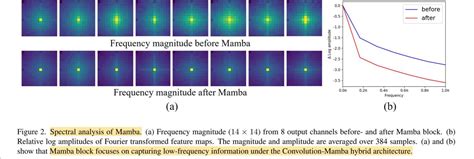 Iccv2025 Tinyvim Frequency Decoupling For Tiny Hybrid Vision Mamba 知乎